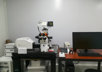 LSM 900激光共聚焦显微镜 ZEISS LSM 900 Confocal Microscopy System|仪器共享平台
